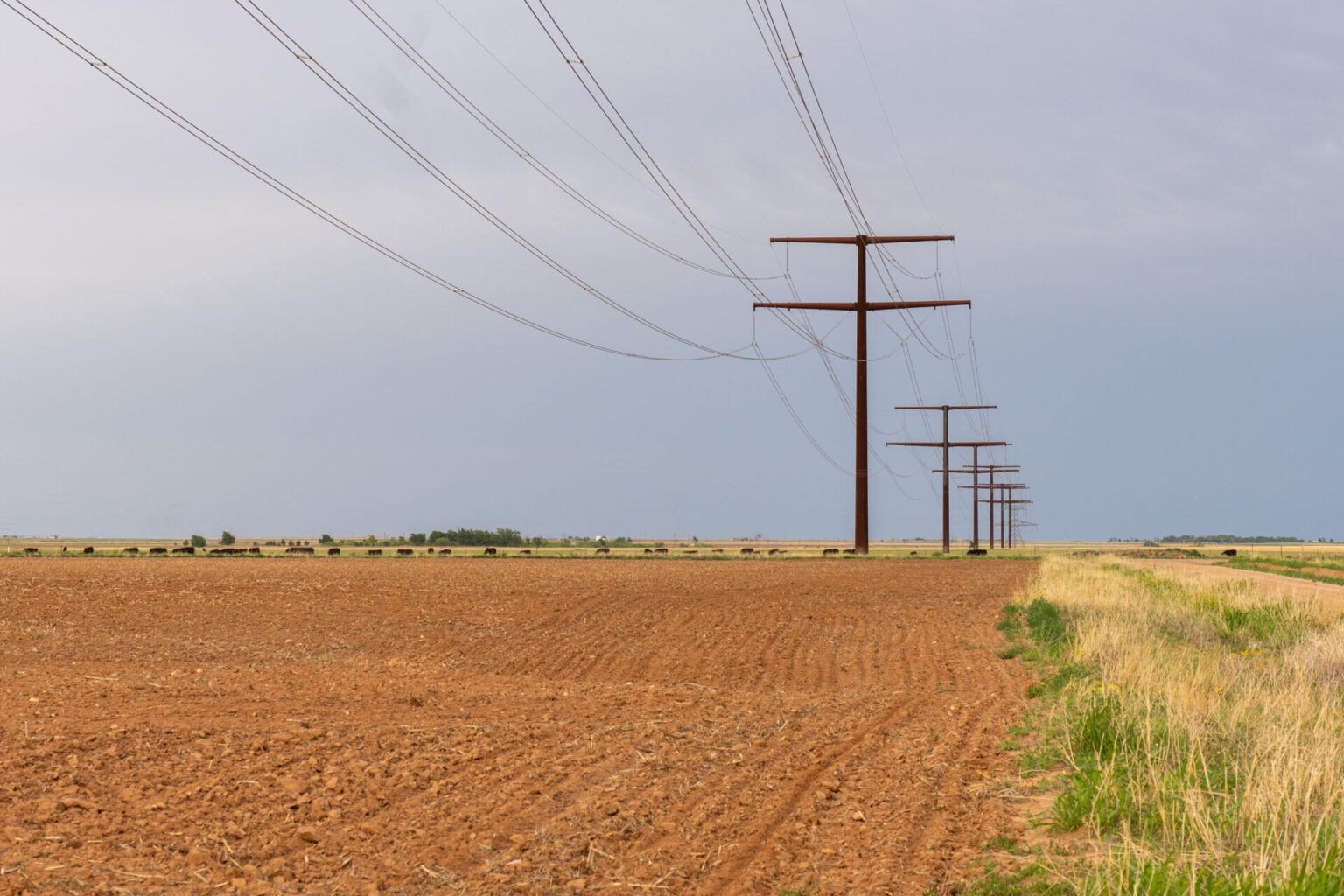 TriEagle Energy Review | Plans and Rates (2025)