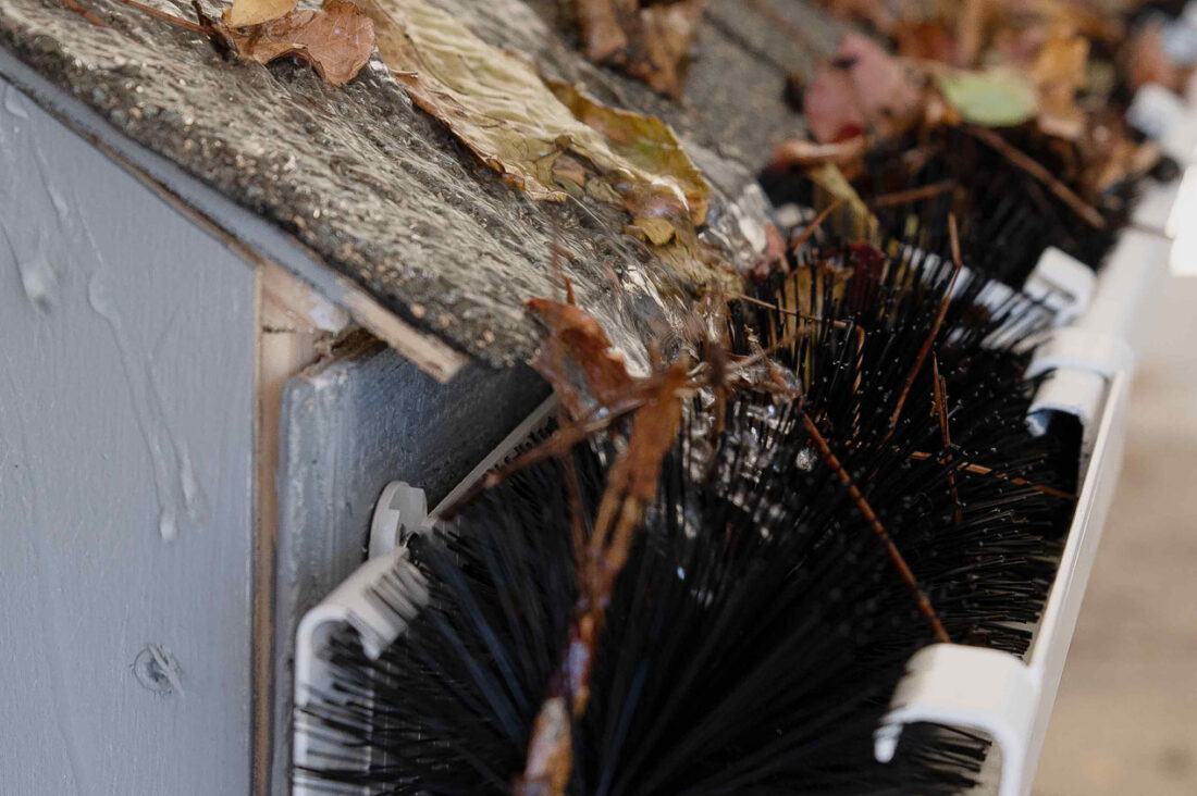 Best Gutter Guards for Pine Needles of 2026 (Tested)